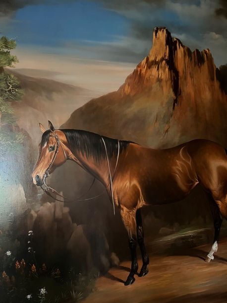 Bernard de Claviere | Dulce Fox in Colorado (93) | MutualArt