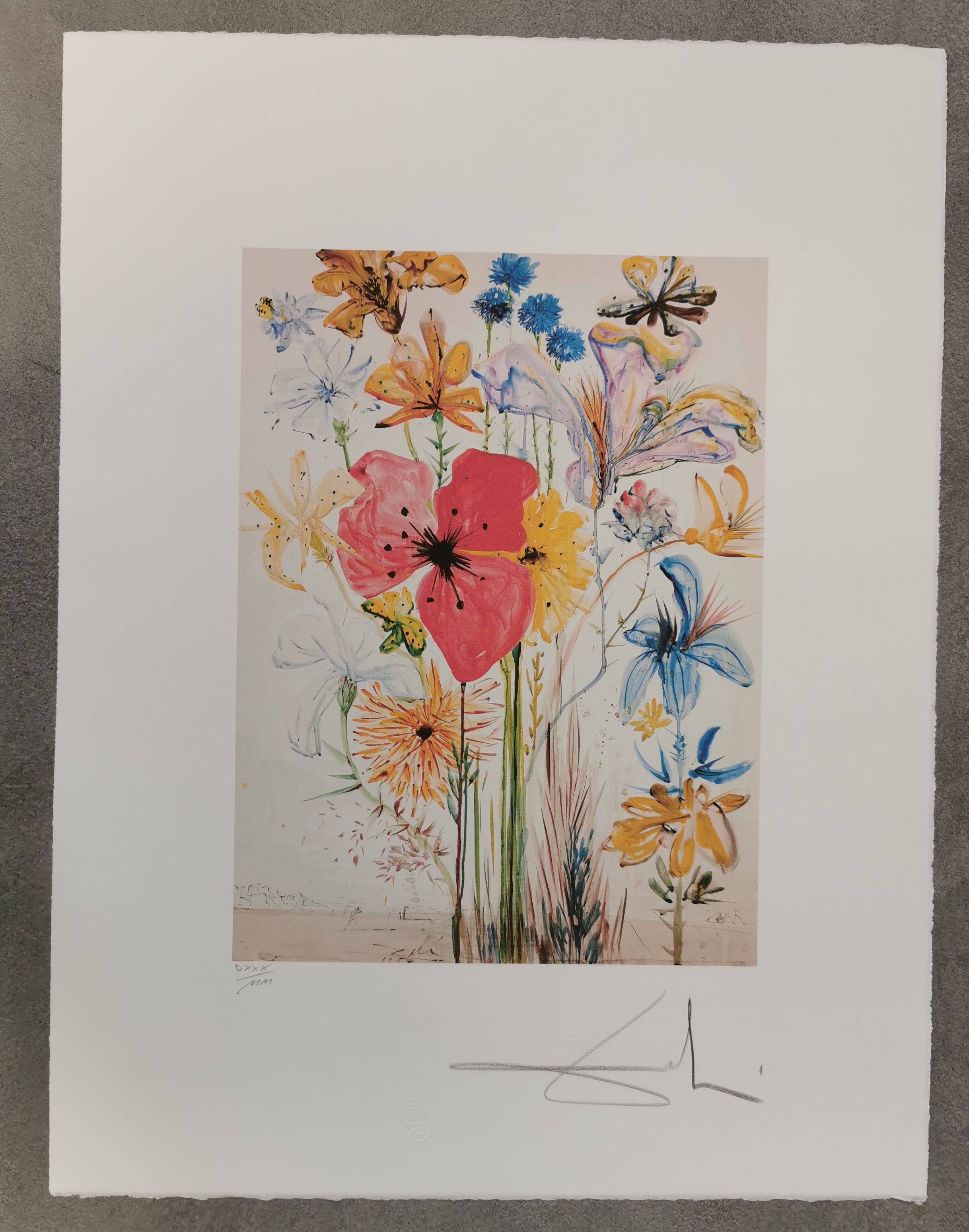 Salvador Dalí | Fleurs / Blumen (von 1948) (1948) | MutualArt