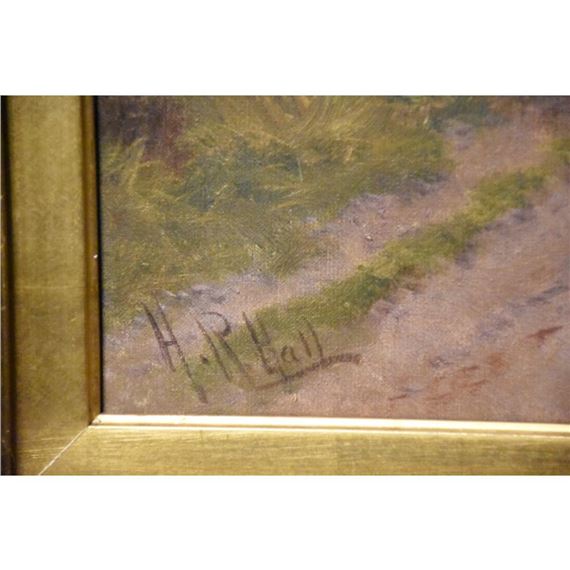 Harald R. Hall | The Highland cattle in the Scottish mountains. Pair ...