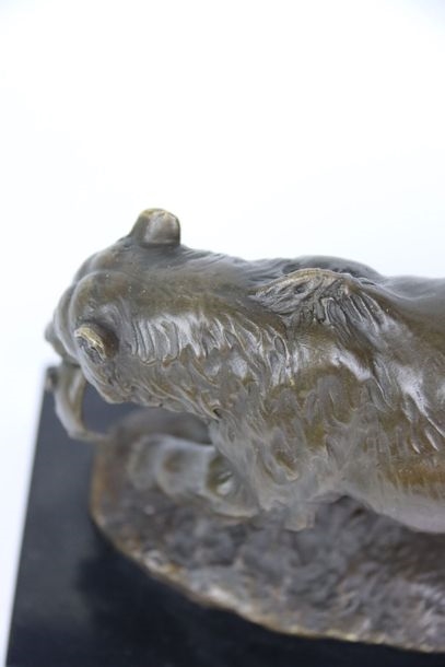 Milo Martin | Bear holding a salmon in its mouth | MutualArt