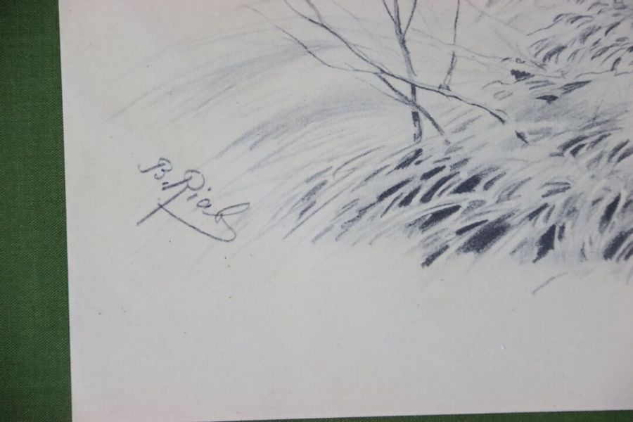 Boris Riab | Pheasant | MutualArt