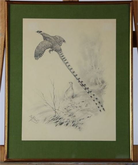 Boris Riab | Pheasant | MutualArt