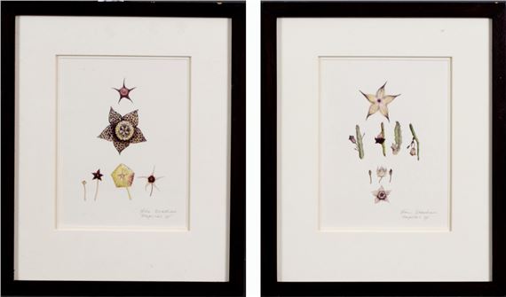 Lisa Strachan | 2 Artworks at Auction | MutualArt