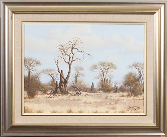 Nico Coetzee | arid landscape | MutualArt