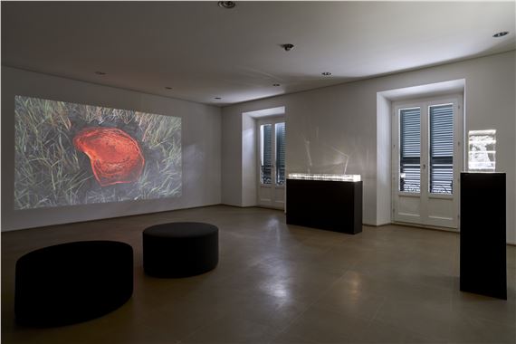 Eva L'Hoest & Mario... | Exhibitions | MutualArt