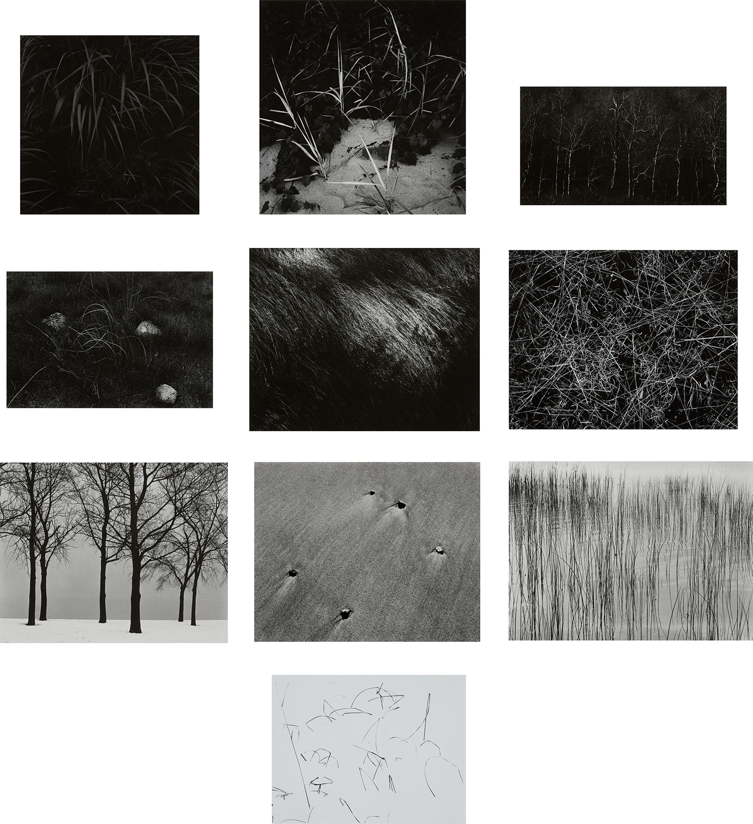 Harry Callahan | SIGN DETAIL (Circa 1945) | MutualArt