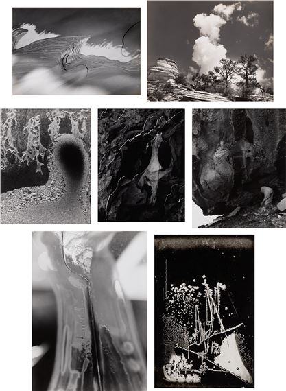 Minor White | Selected Nature Studies (1958 - 1962) | MutualArt