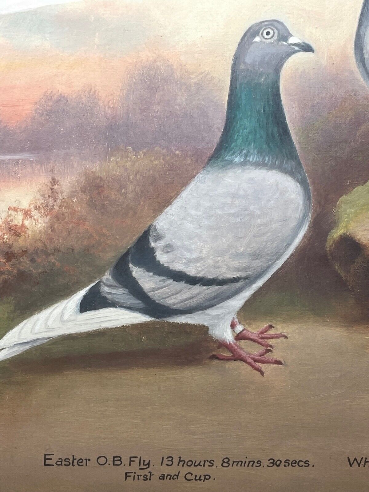 Andrew Beer | 3 RACING PIGEONS OIL PAINTING (1929) | MutualArt