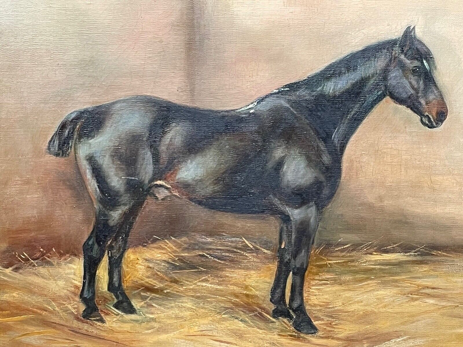 Alice Burton | BLACK BAY HUNTER HORSE OIL PAINTING (Early 20th Century ...