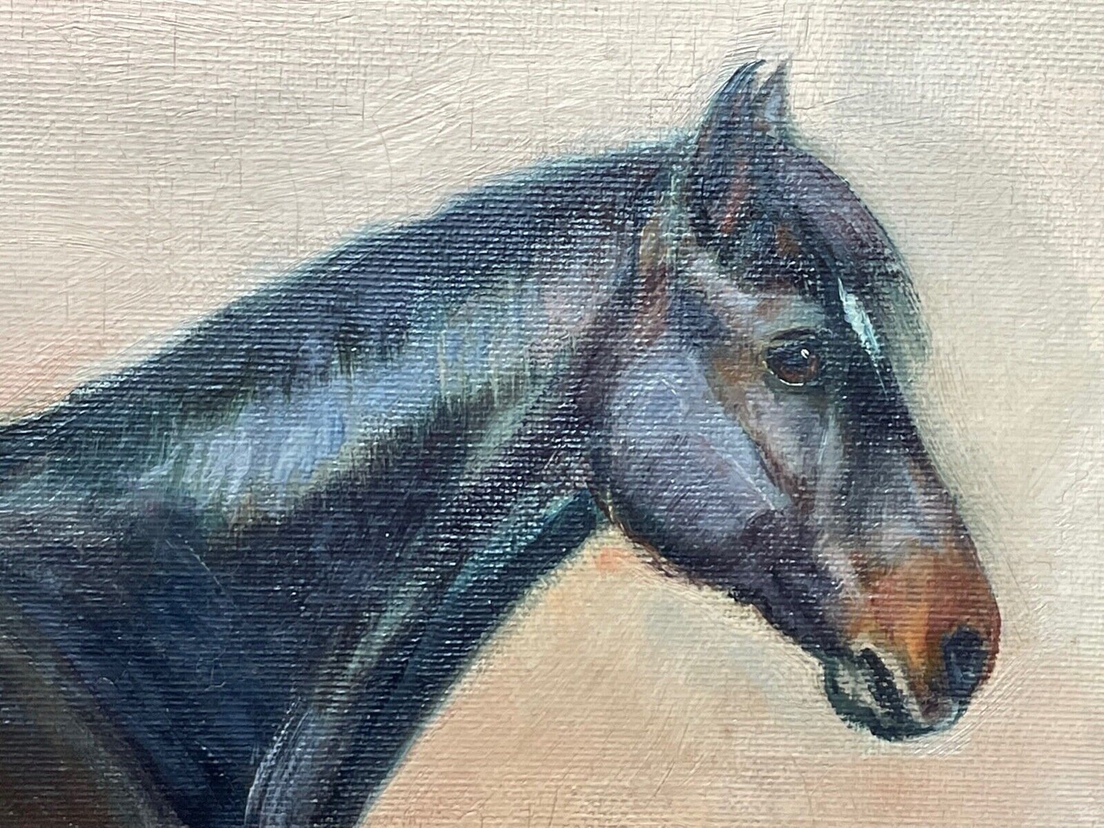 Alice Burton | BLACK BAY HUNTER HORSE OIL PAINTING (Early 20th Century ...