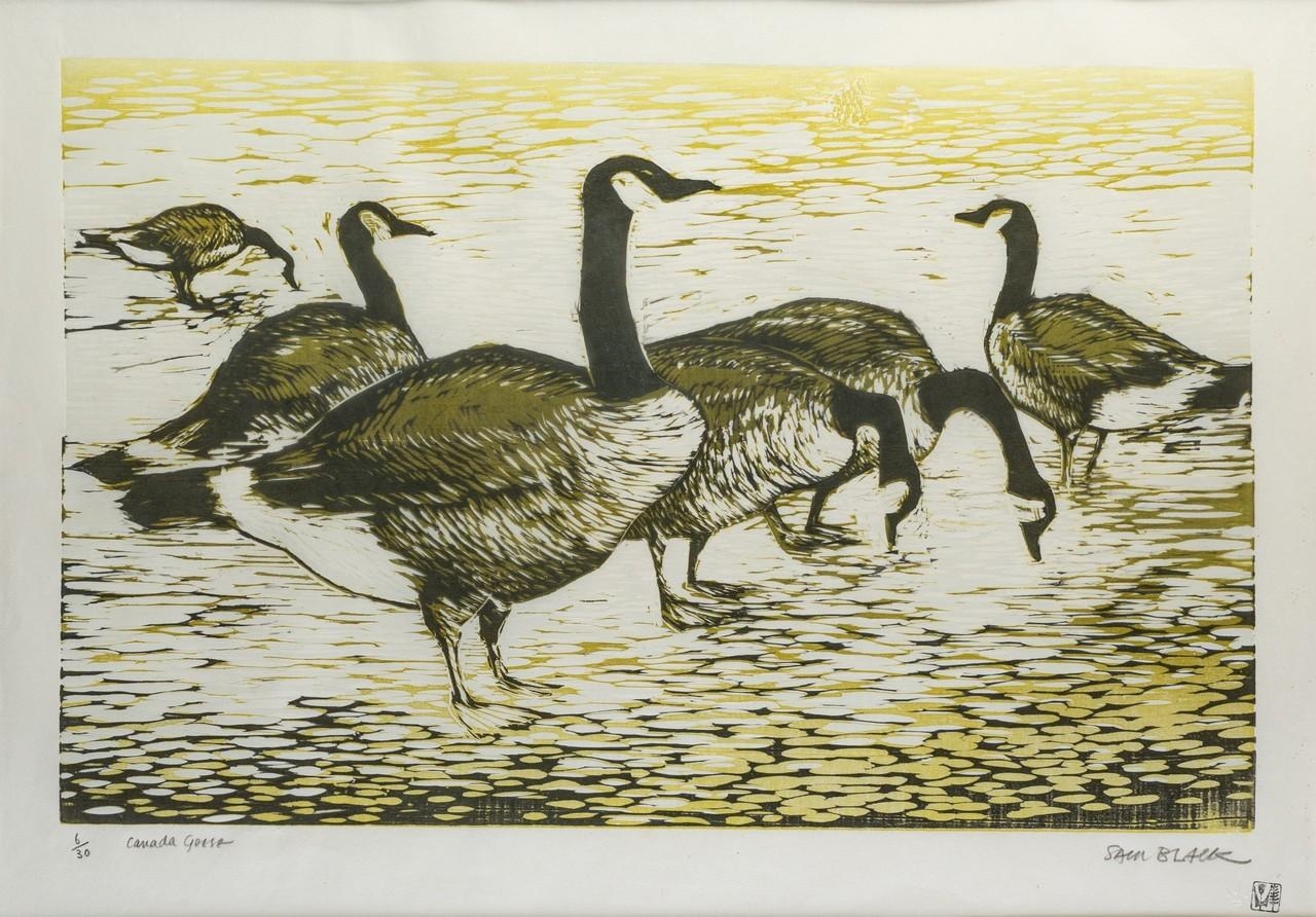 Sam Black | gull colony | MutualArt