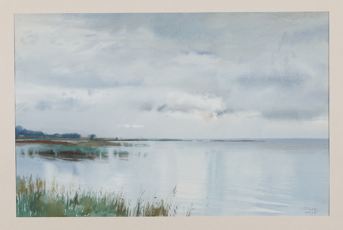 Hans Strobl | Blick über den Bodensee beim Rohrspitz. (1959) | MutualArt