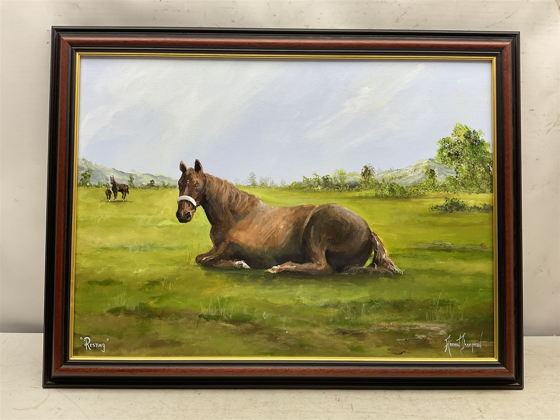 Adrian Thompson | Resting' - Horse in a Field | MutualArt