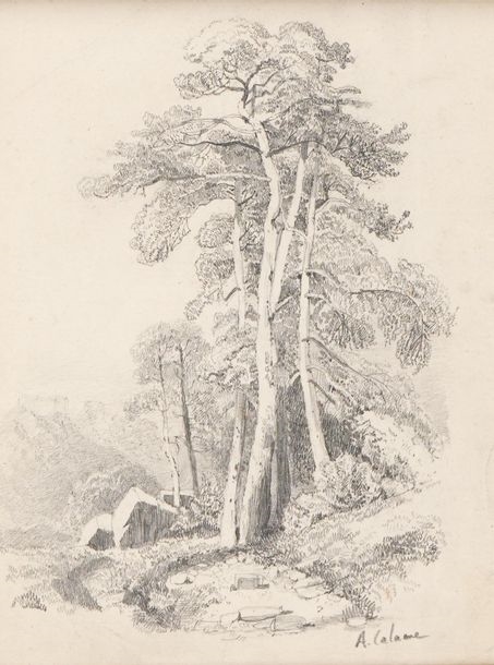 Alexandre Calame | The big trees | MutualArt