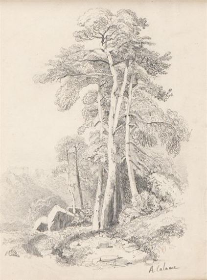 Alexandre Calame | The big trees | MutualArt