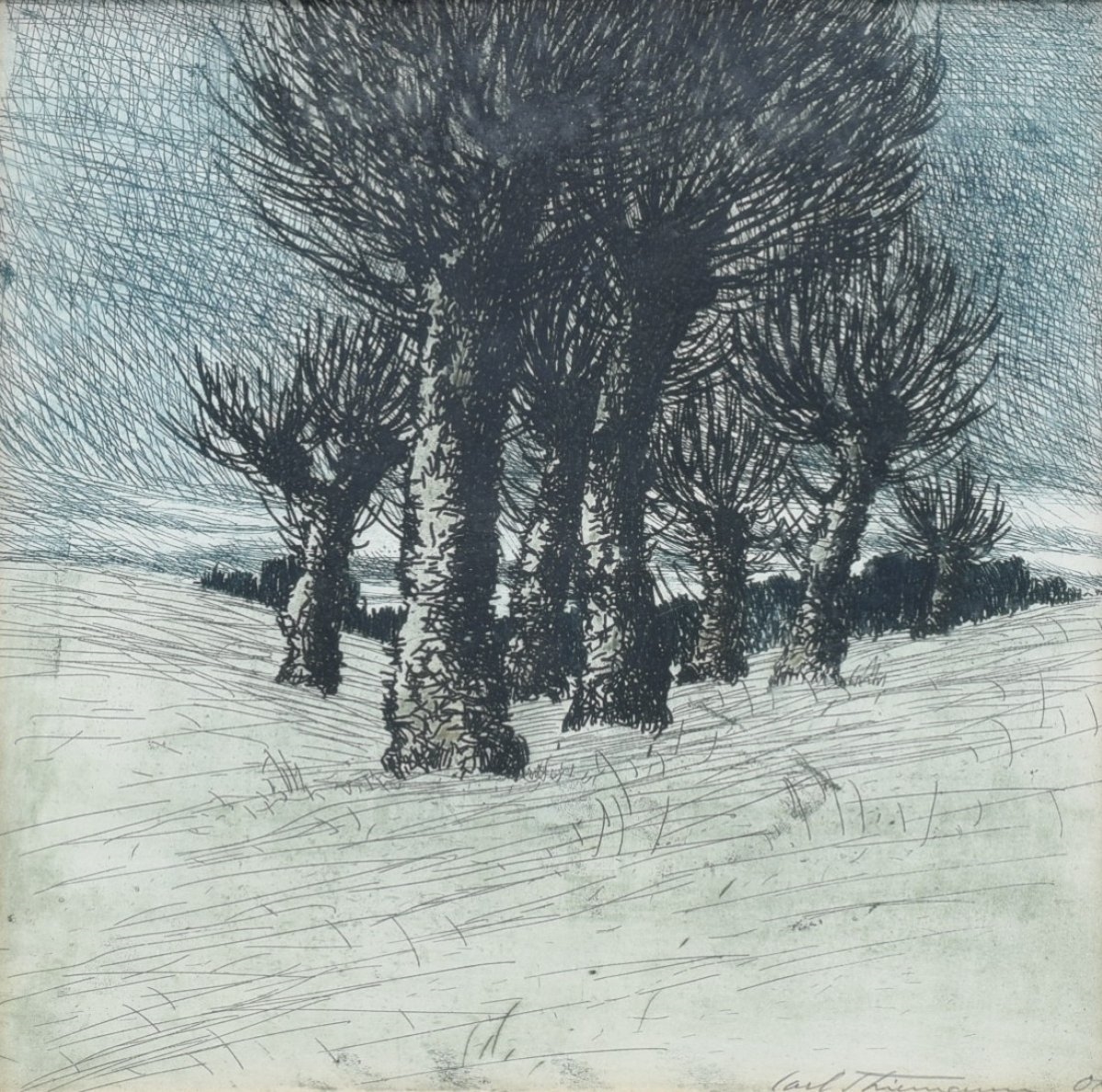 Carl Thiemann | Stromy. (1908) | MutualArt