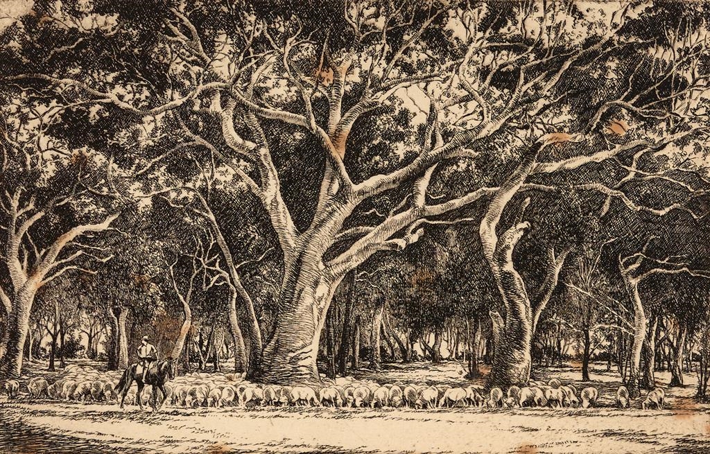 Alfred Edward Warner | Through the Bush, NSW | MutualArt