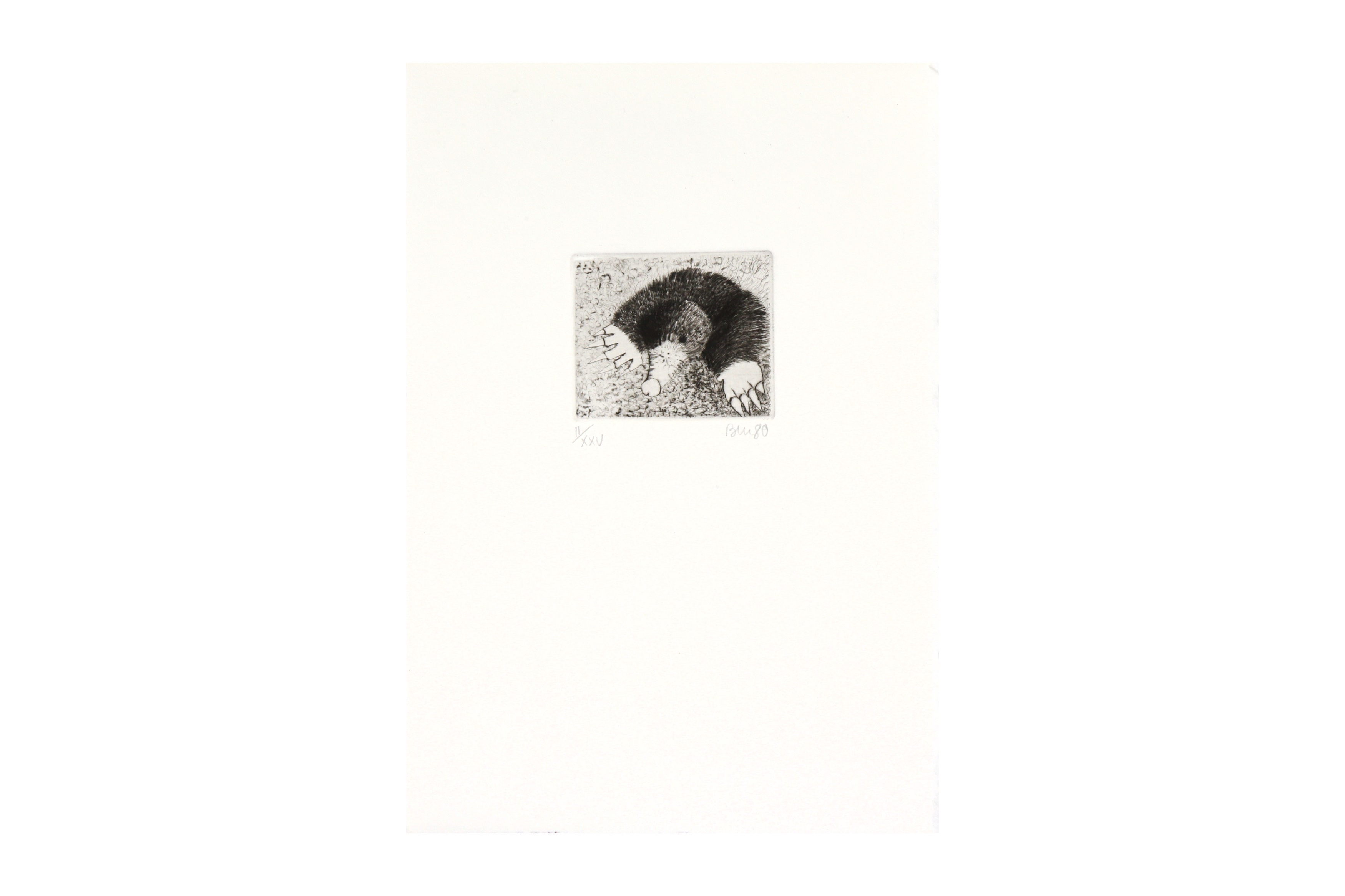 Bénédicte Mongrolle | Taupiere (1980) | MutualArt