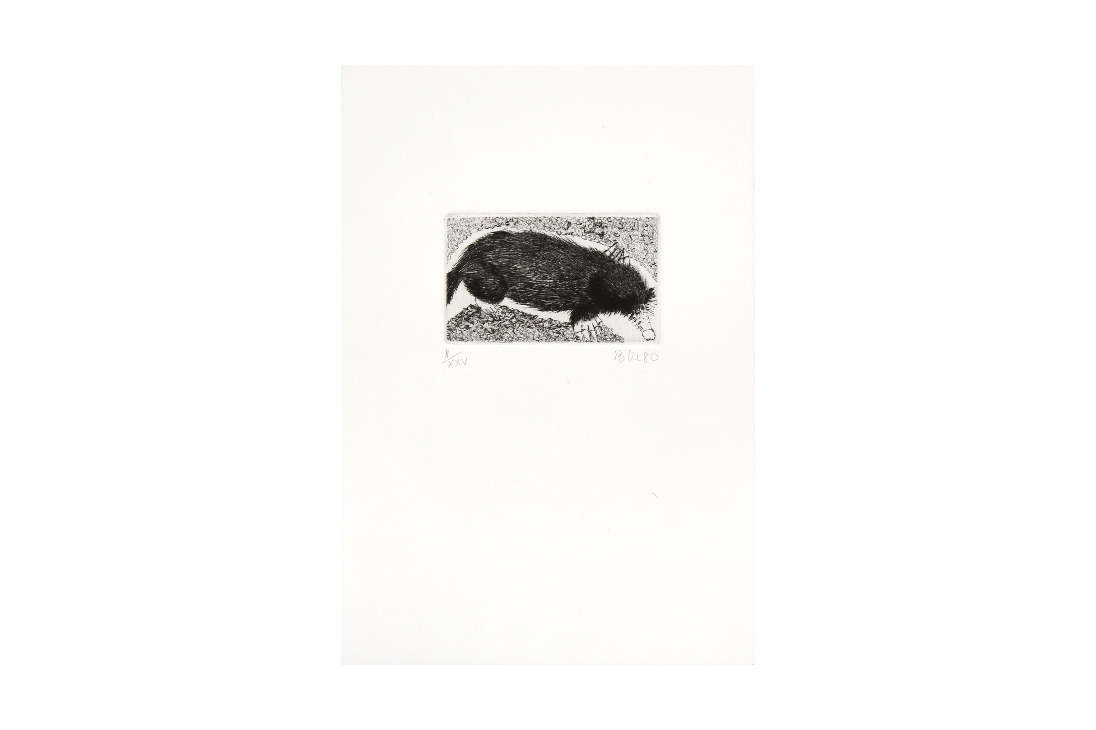 Bénédicte Mongrolle | Taupiere (1980) | MutualArt