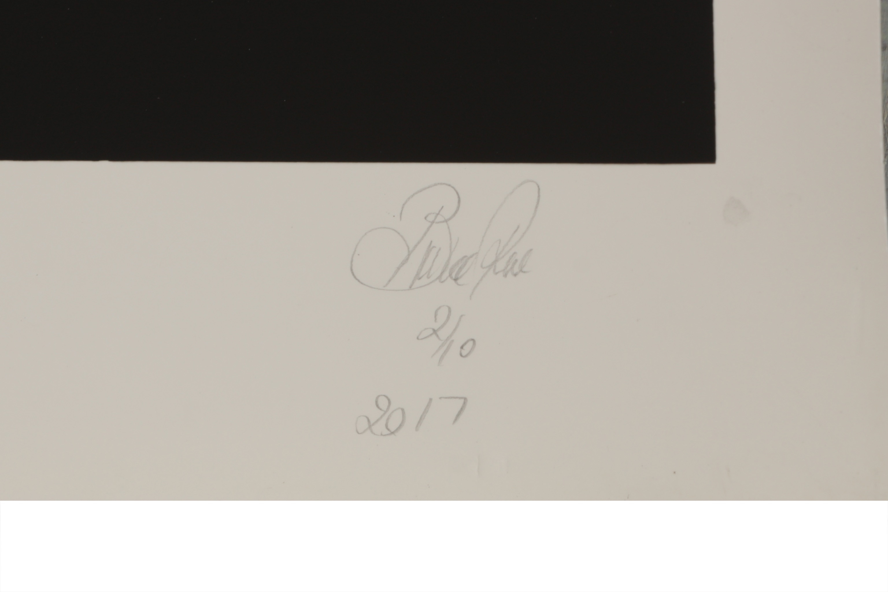 Bruce Rae | CELOSIA (2017) | MutualArt