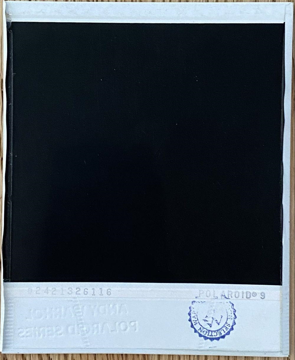 Andy Warhol | Polaroid Collection | MutualArt