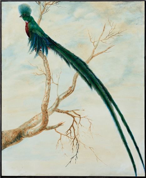 Sarah Stone | a Resplendent Quetzal | MutualArt