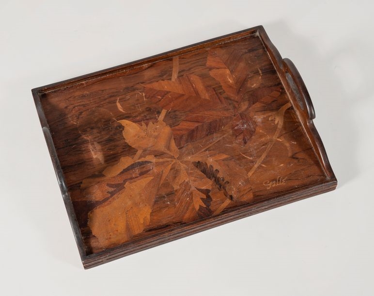 Emile Gallé | Plateau de service rectangulaire à deux anses | MutualArt