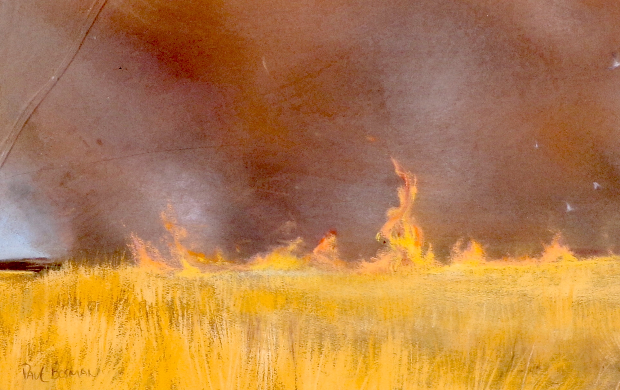 Paul Bosman | VELD FIRE | MutualArt