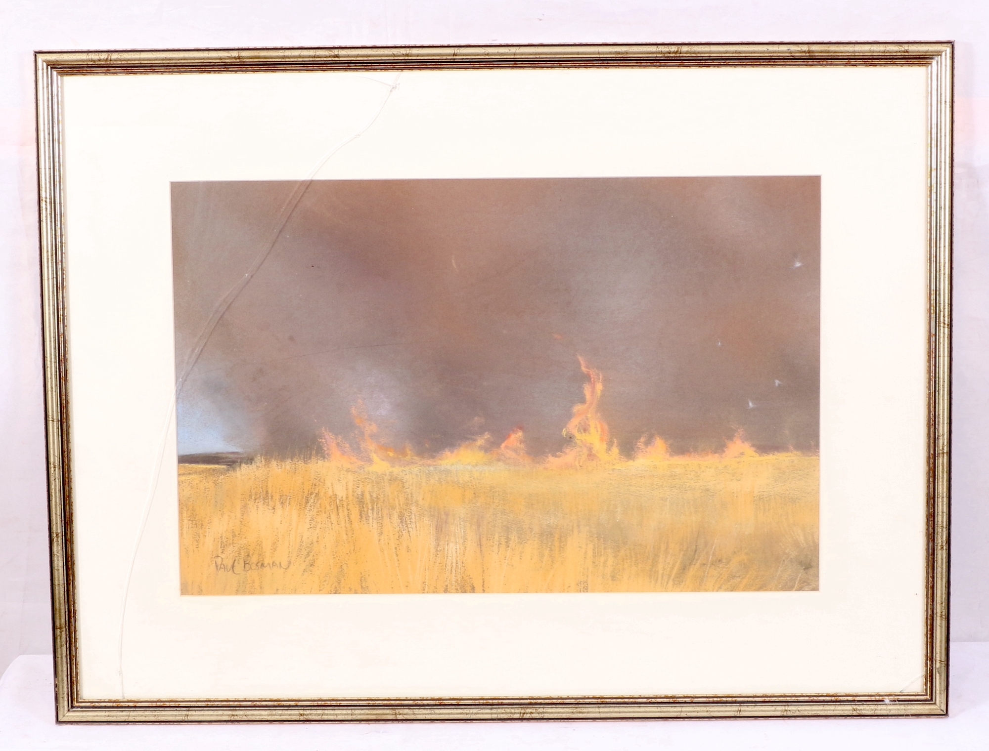 Paul Bosman | VELD FIRE | MutualArt