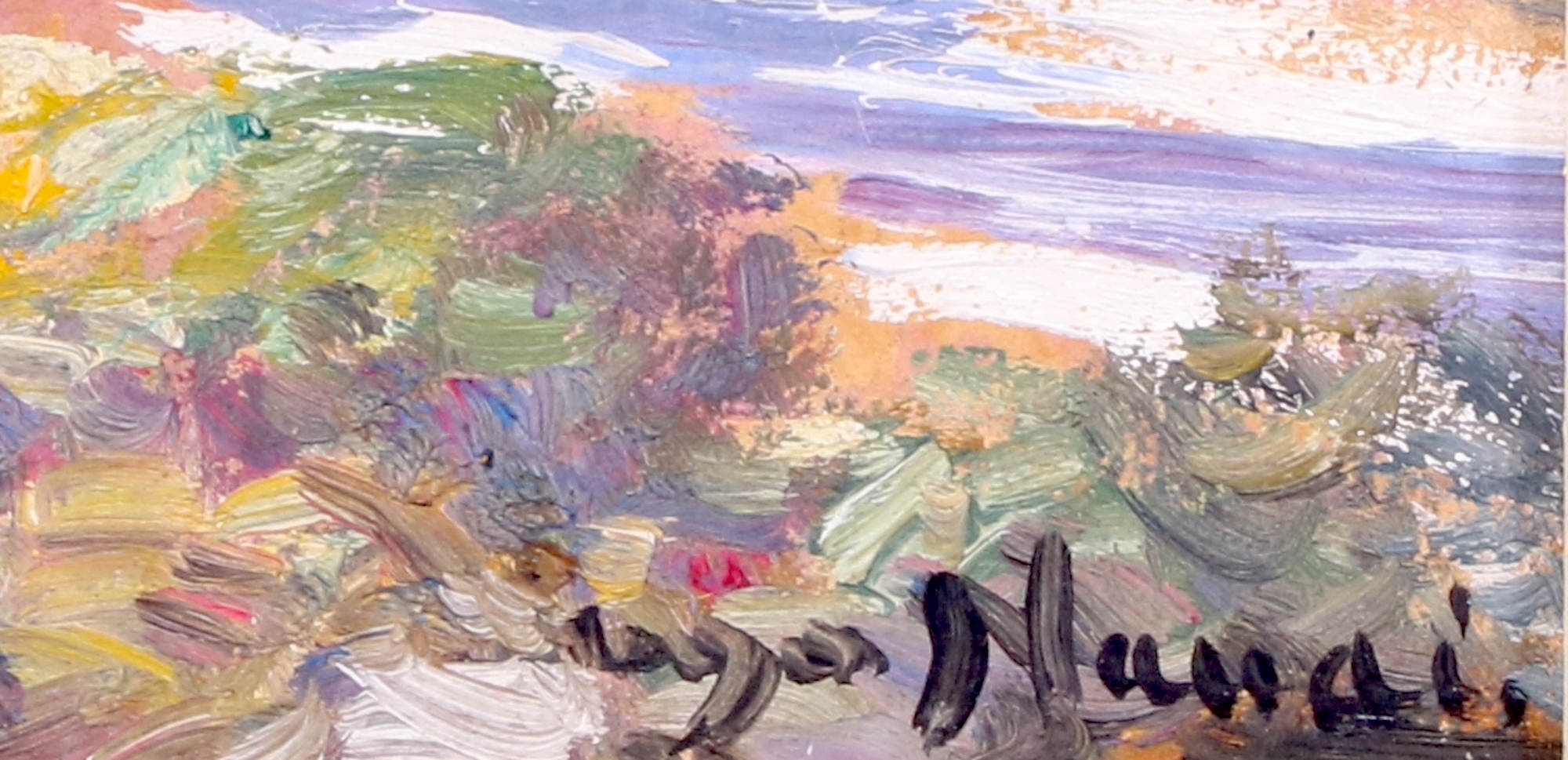 Pieter Hugo Naudé | CAPE MOUNTAINSCAPE | MutualArt