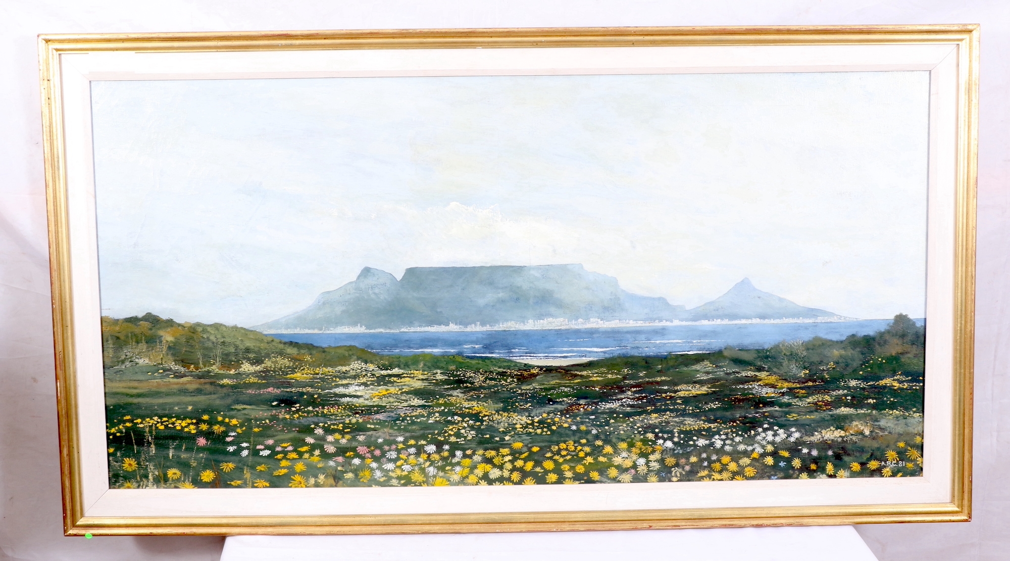 Anthony R. Cooke | TABLE MOUNTAIN | MutualArt