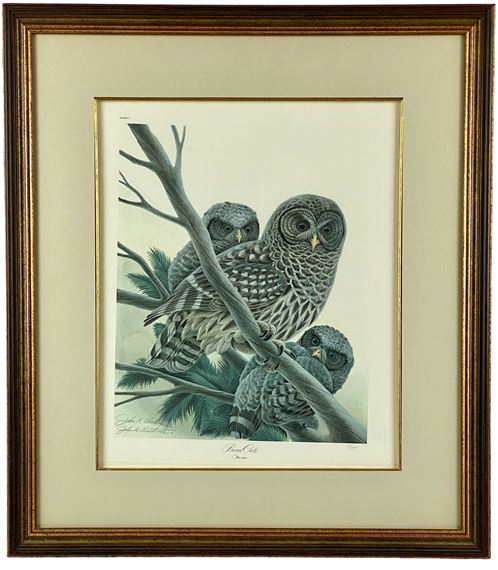 John Ruthven | Barred Owls | MutualArt