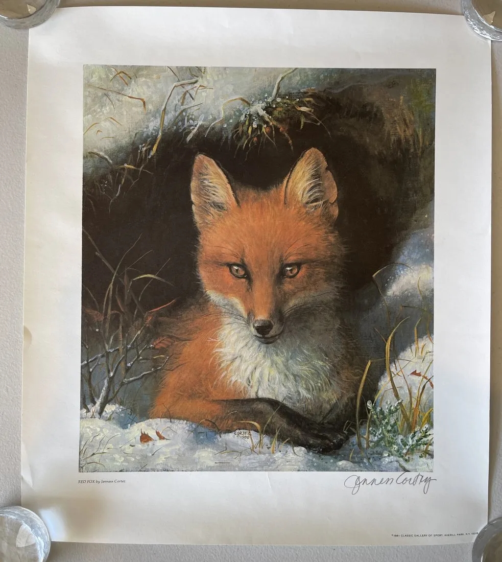 Jenness Cortez | RED FOX (1981) | MutualArt