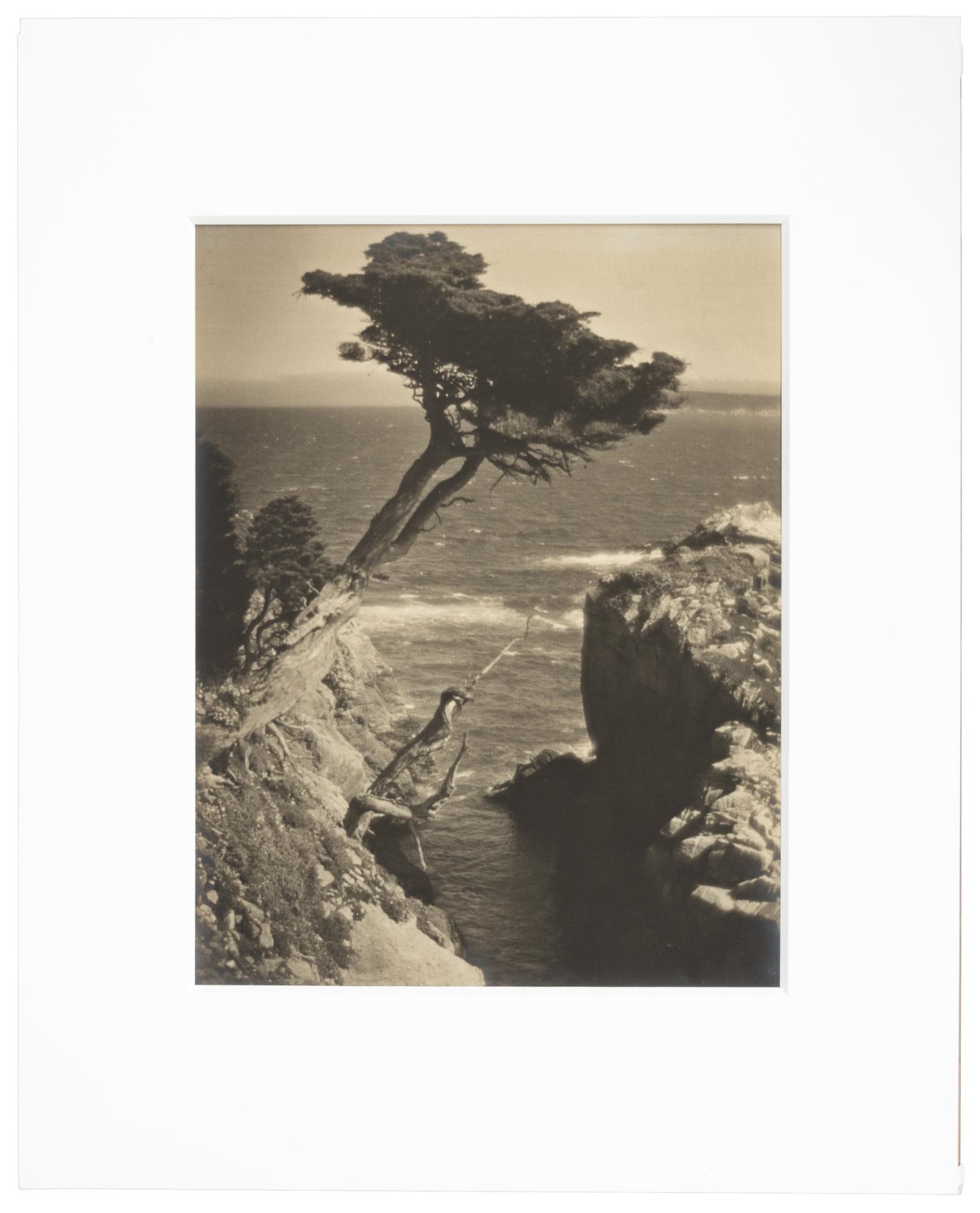 John Paul Edwards | Untitled [Arcadian scene] (Circa 1930s) | MutualArt