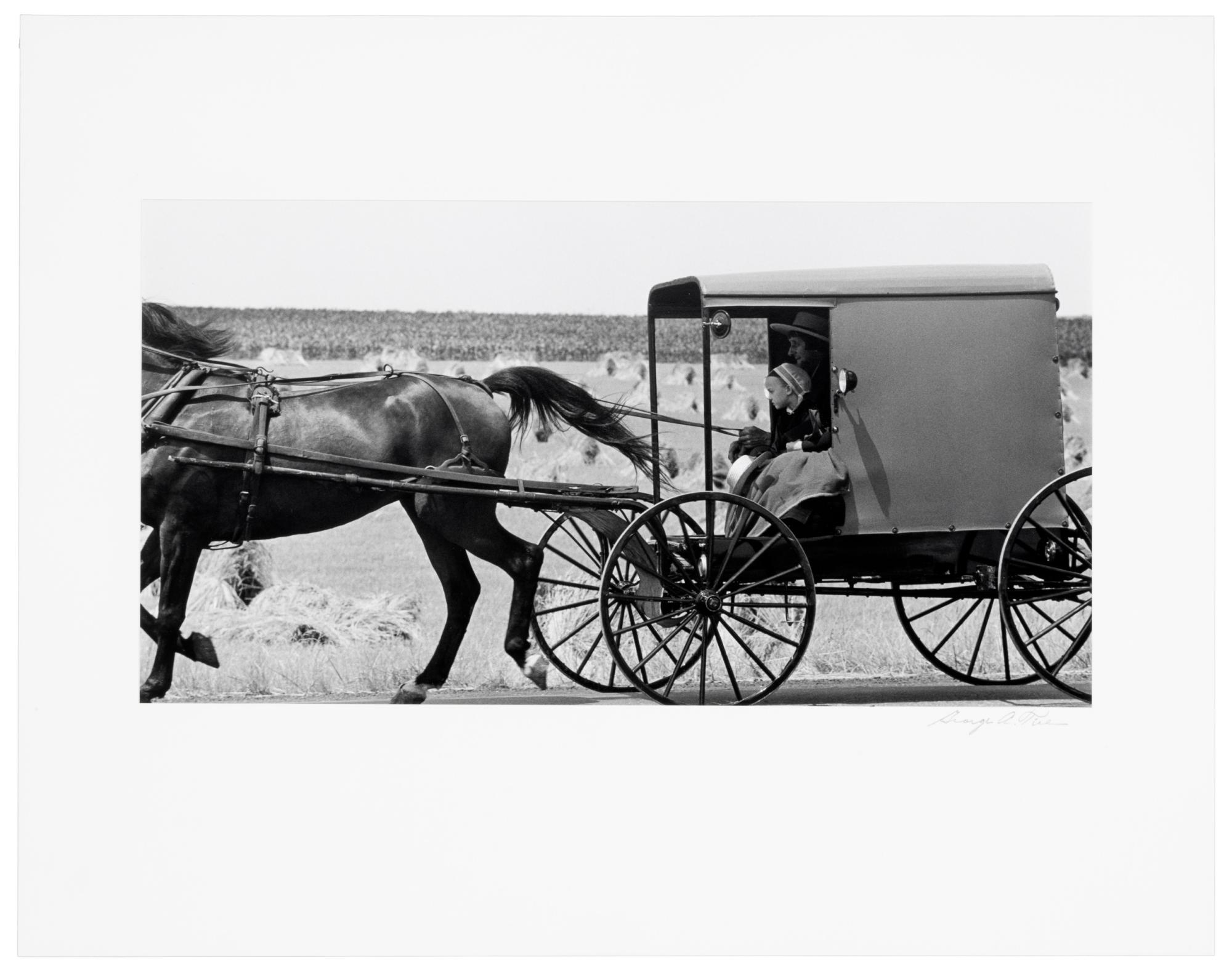 George Tice | Amish Father and Daughter in Buggy, Lancaster ...