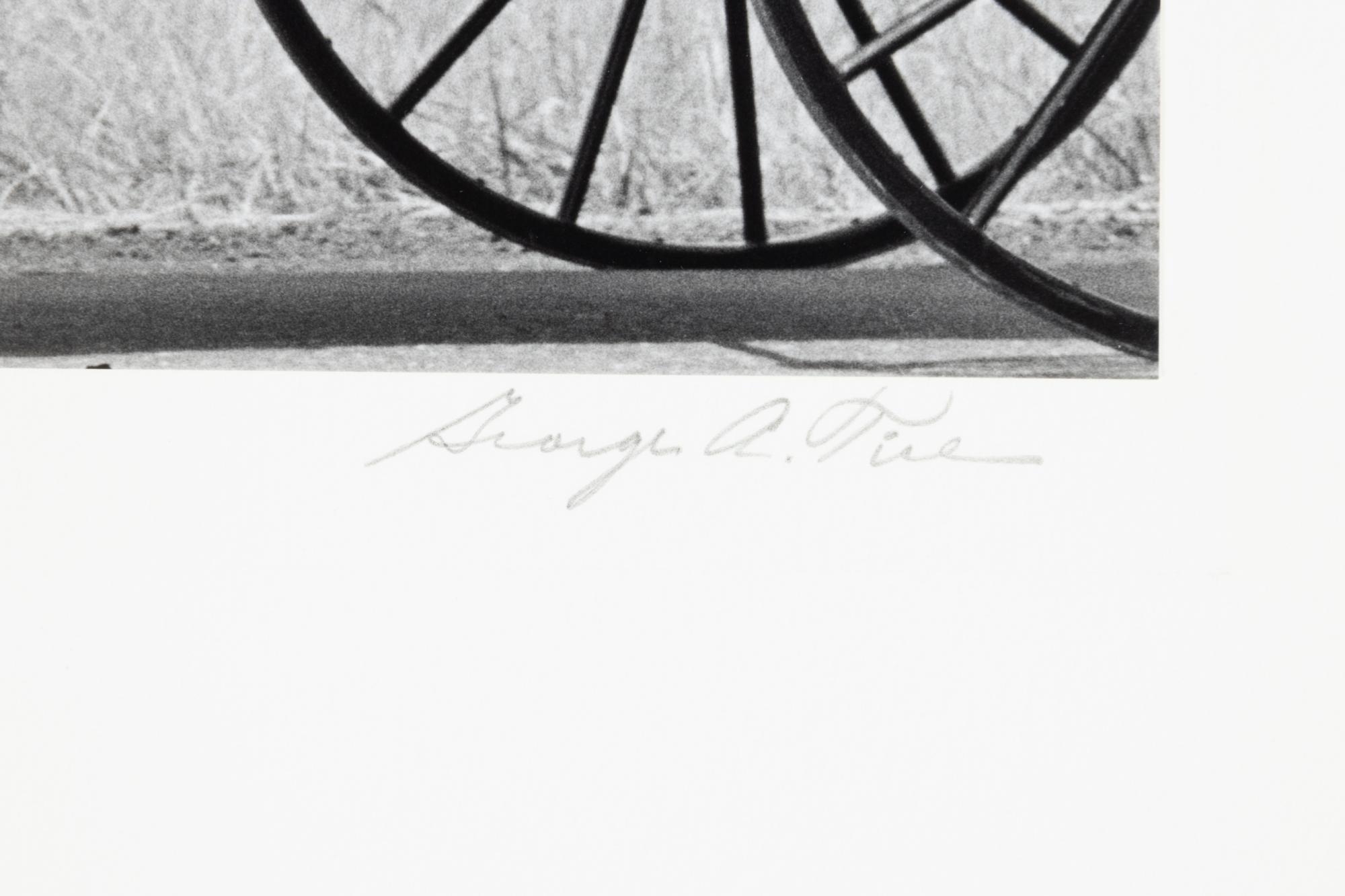 George Tice | Amish Father and Daughter in Buggy, Lancaster ...