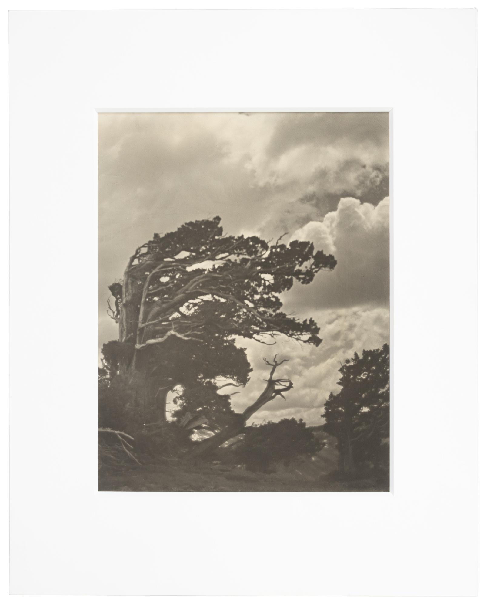 John Paul Edwards | Untitled [Arcadian scene] (Circa 1930s) | MutualArt
