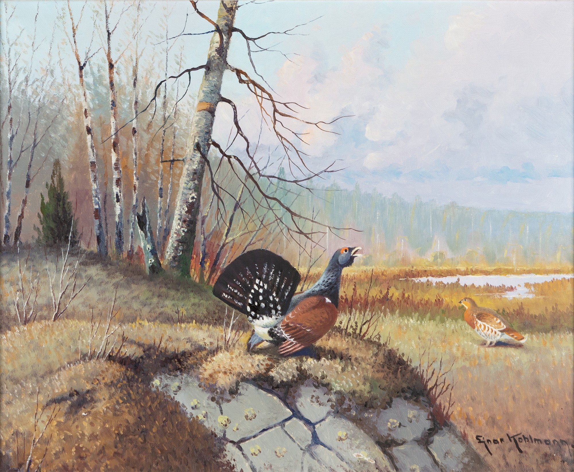 Ejnar Kohlmann | Western capercaillie | MutualArt