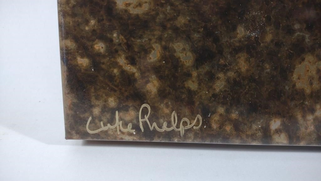 Luke Phelps | Luke Phelps Metal Canvas Art | MutualArt