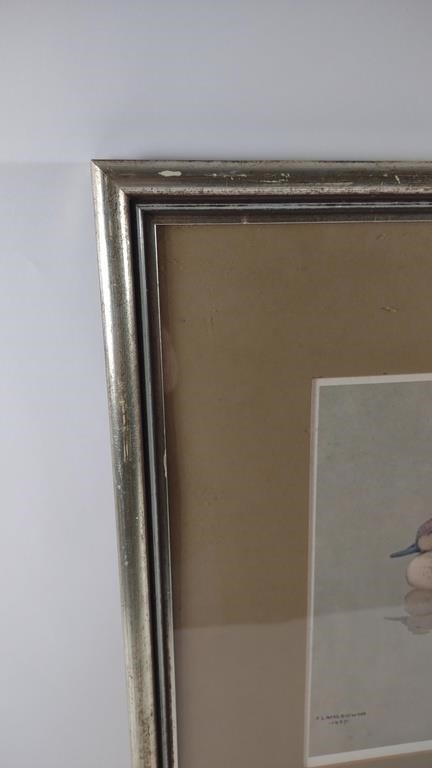 James Fenwick Lansdowne | J. Fenwick Lansdowne 1957 Duck Print in Frame ...