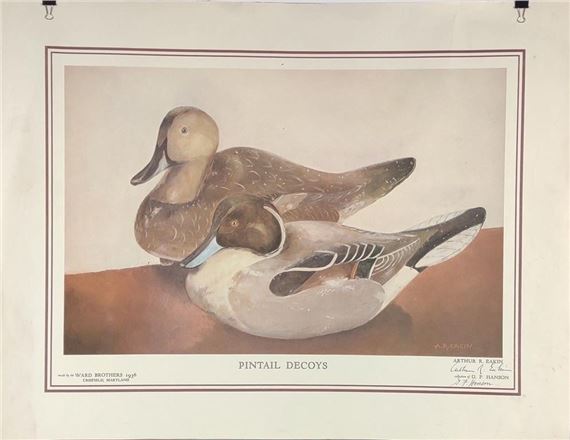 Arthur R Eakin | Arthur R. Eakin Signed Ward Pintail Decoys Print ...