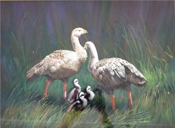 Gordon Alley | Cape Barren Geese | MutualArt