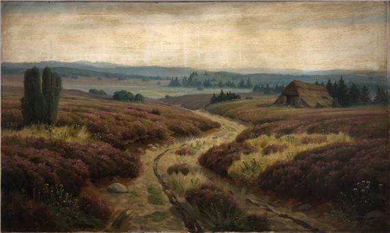 Jan Fokken | Biography