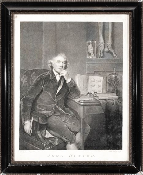 Sir Joshua Reynolds | Portrait of John Hunter | MutualArt