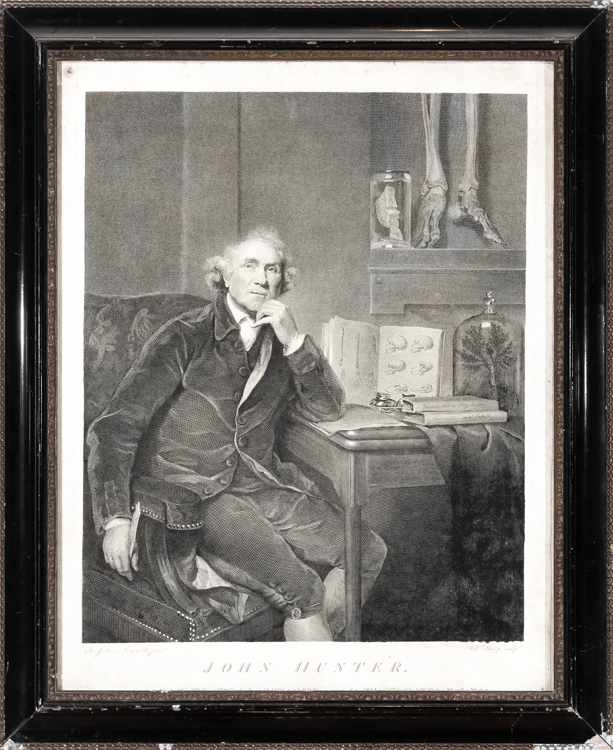 Sir Joshua Reynolds | Portrait of John Hunter | MutualArt
