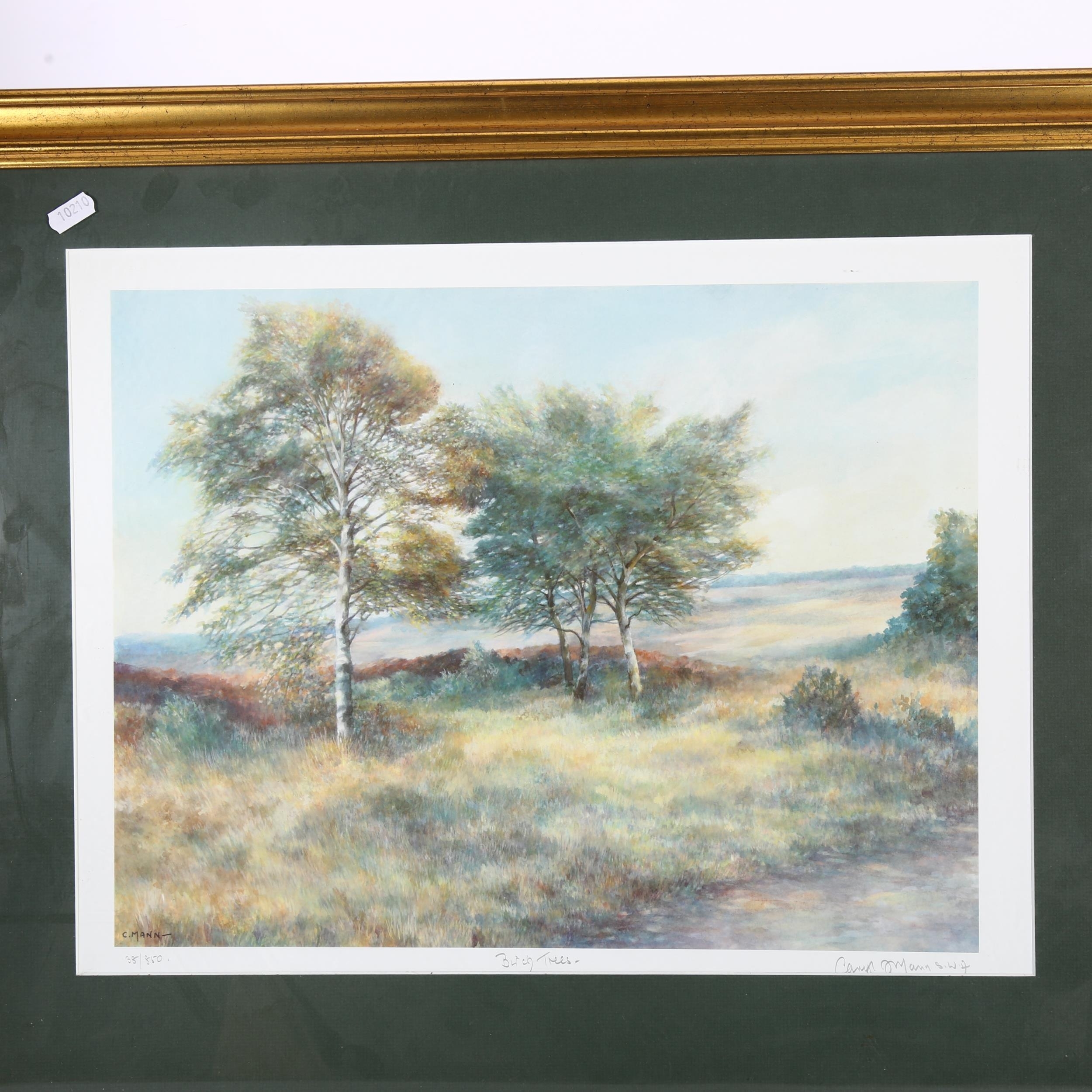 Louis Wain | the cats circus | MutualArt