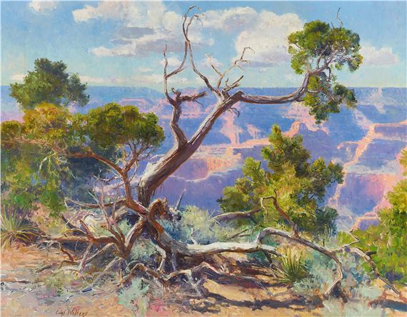 Curt Walters | Grand Canyon | MutualArt