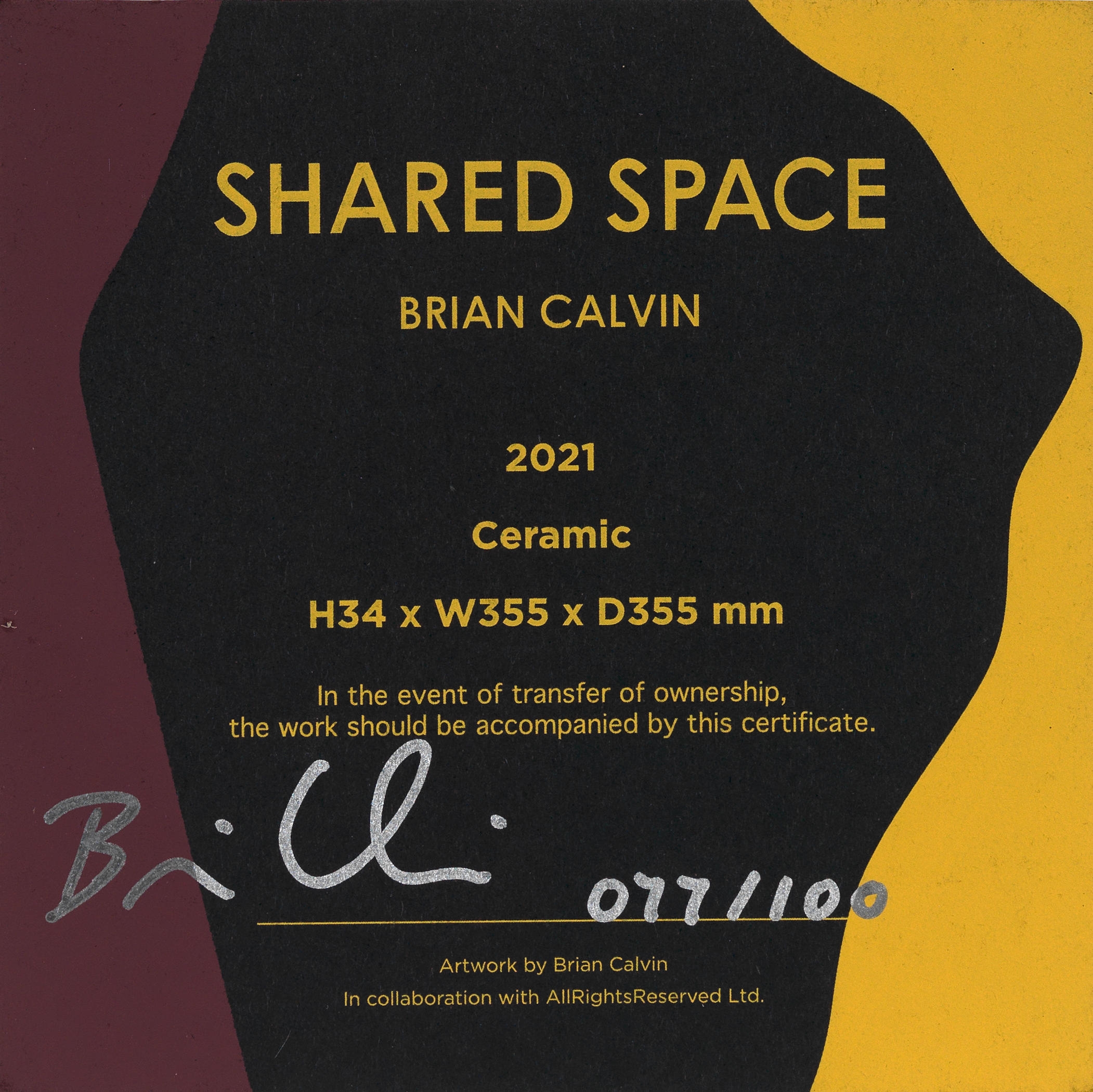 Brian Calvin | Shared Space (2021) | MutualArt