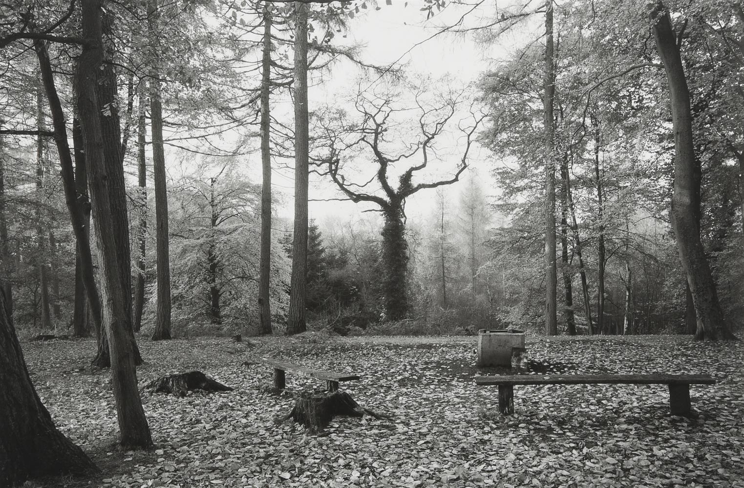 Fay Godwin | SPEECH HOUSE PICNIC PLACE (1985) | MutualArt