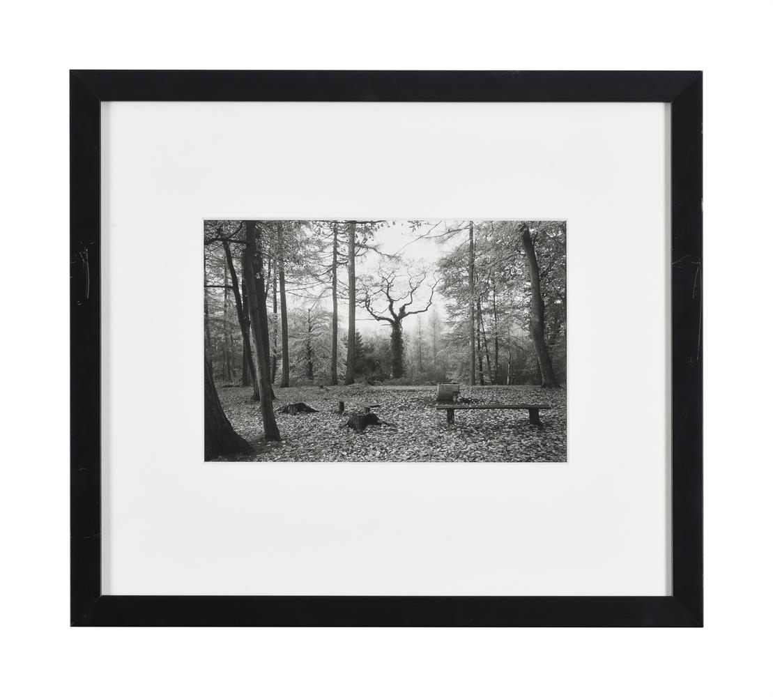 Fay Godwin | SPEECH HOUSE PICNIC PLACE (1985) | MutualArt